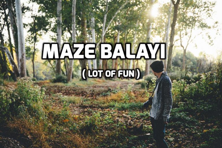 22 Quirky Kashmiri Words You Can Add To Your Vocabulary - Gyawun