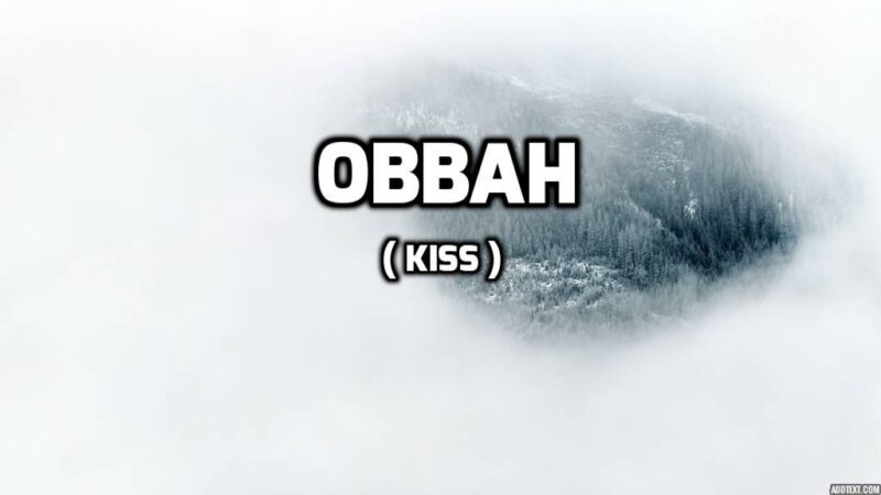 22 Quirky Kashmiri Words You Can Add To Your Vocabulary - Gyawun