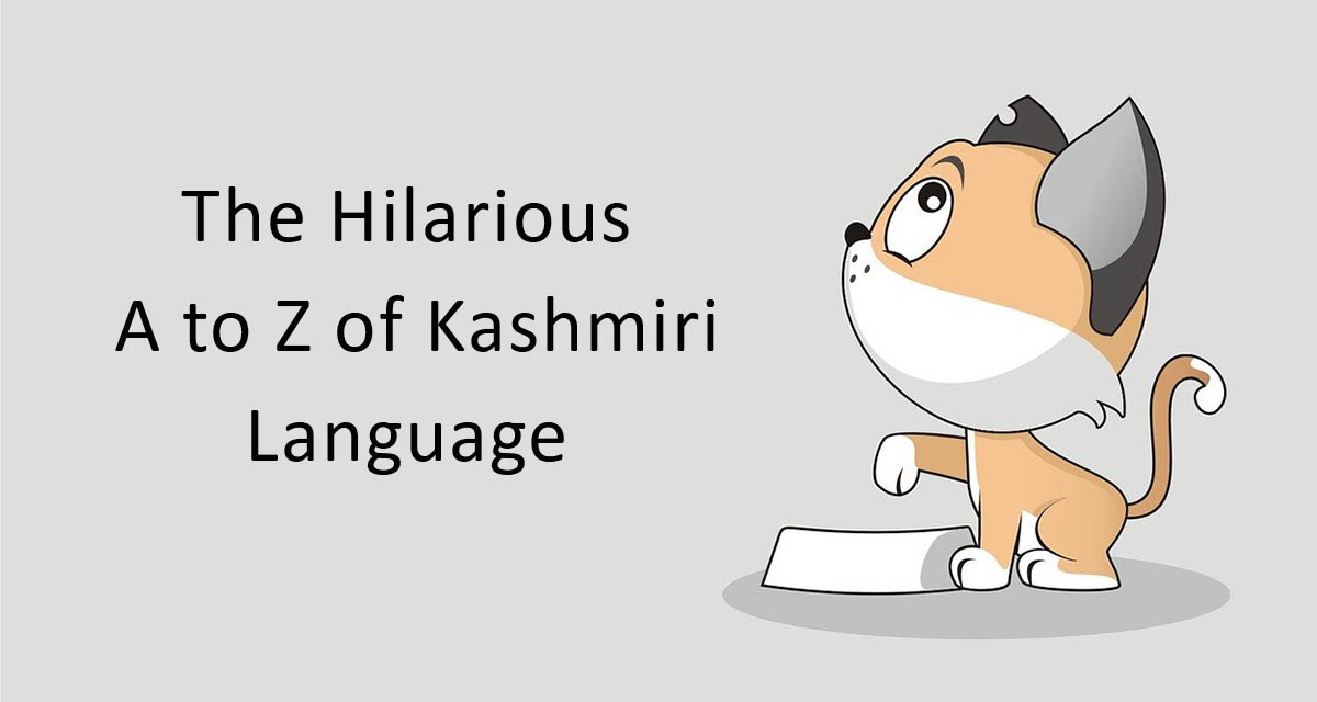 The Hilarious A to Z of Kashmiri Language - Gyawun